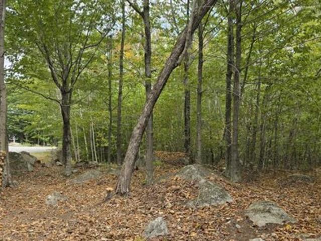 High Ridge Rd, Norway, Plot For Sale