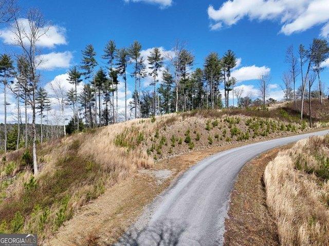 High River Xing Lot 253, Ellijay, GA 30540