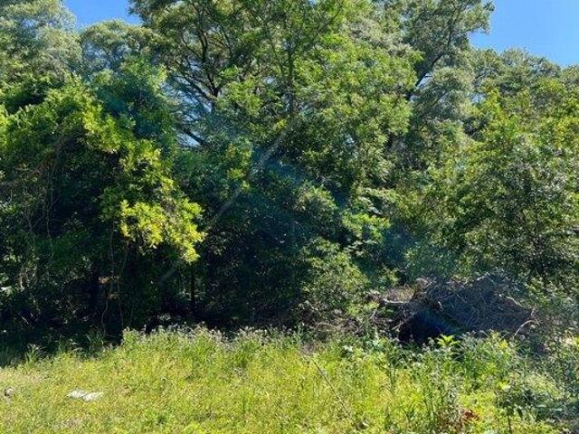 High Springs FL 32643 90077715
