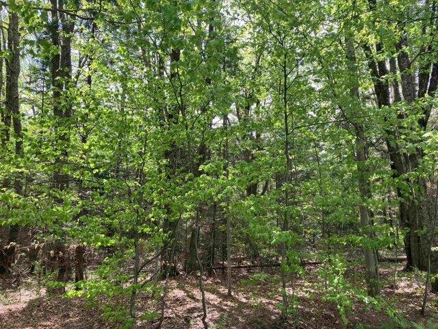 High Top Rd Lot,wilmington, Plot For Sale