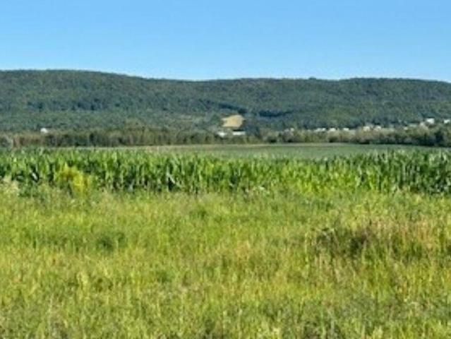 Highgate Rd, Swanton, Plot For Sale