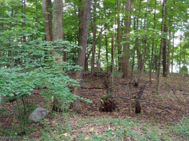 Highland Ave, Hampton, Plot For Sale