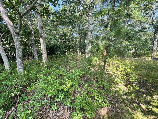 Highland Ave, Oak Bluffs, Plot For Sale