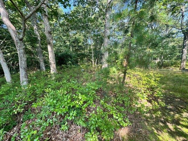 Highland Ave, Oak Bluffs, Plot For Sale