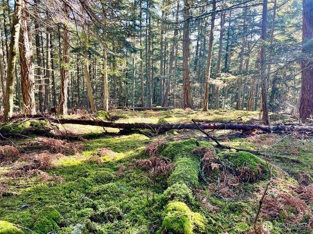 Highland Dr Lot 3, Decatur Island, WA 98221