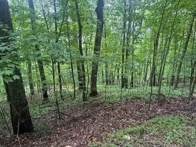 Highland Forge Ln Lot 31, Blairsville, GA 30512