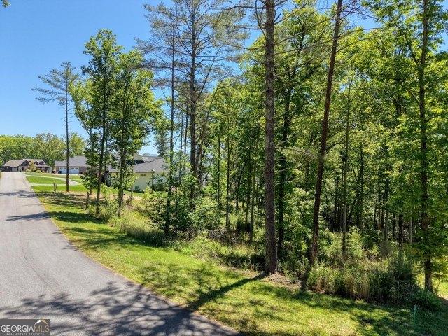 Highland Park Lot 167, Blairsville, GA 30512