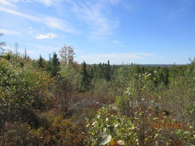 Highland Rd Lot,addison, Plot For Sale