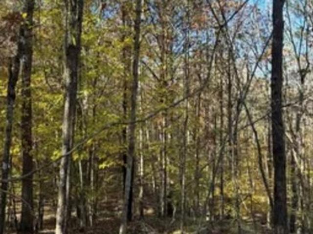 Highlands Cir Lot 70, Oxford, MS 38655