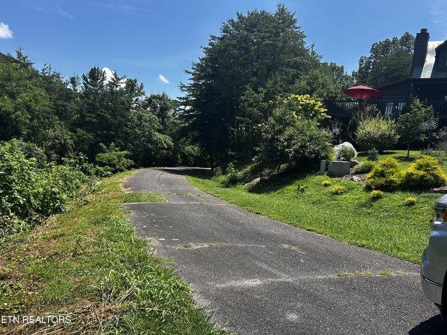 Highlands Bluff Rd, Tellico Plains, TN 37385