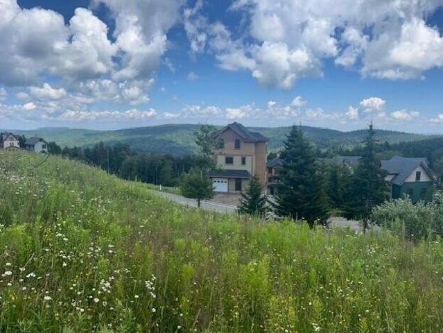 Highlands Dr, Snowshoe, Home For Sale