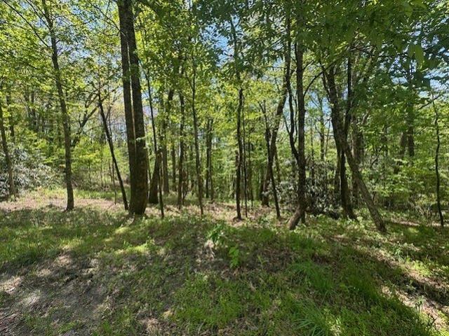 Bowery Rd, Highlands, NC 28741