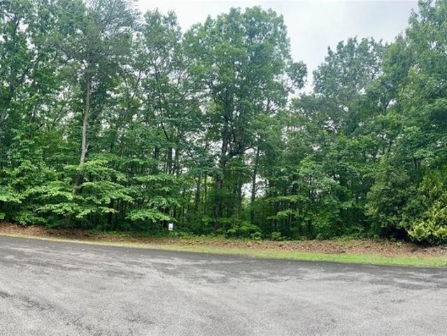 Highpointe Trl, Ellijay, GA 30536