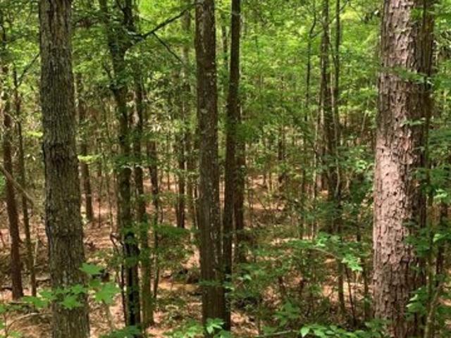 Highway And Applewhite Rd, Mccall Creek, Plot For Sale