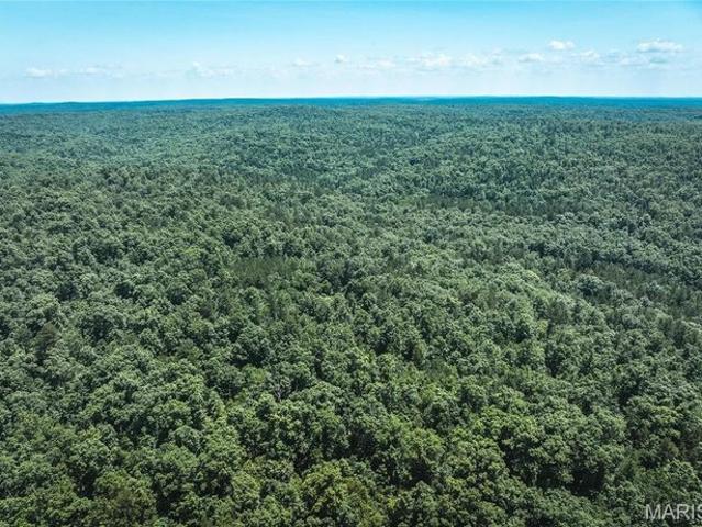 County 752B Tract Rd # 2, Ellington, MO 63638