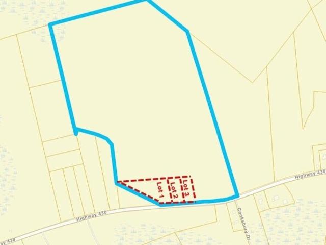 Highway Lot,nichols, Plot For Sale