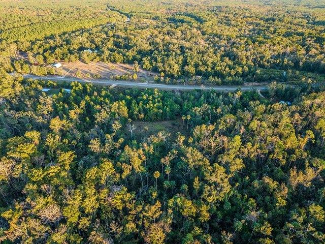 Highway Sw 360th Ave, Steinhatchee, FL 32359
