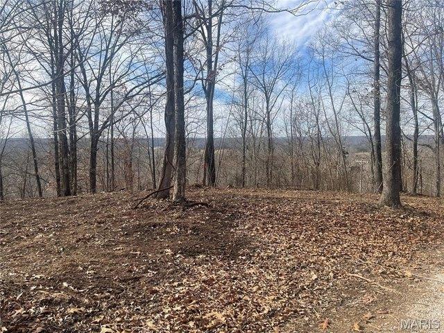 Highway W, Poplar Bluff, MO 63901