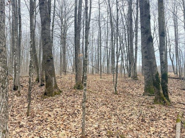 Highway X Lot 3, Glen Flora, WI 54526