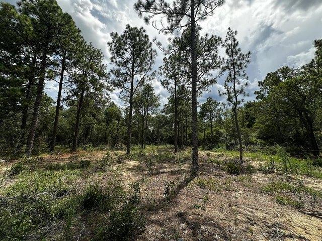 Highway 0041, Box Springs, GA 31801