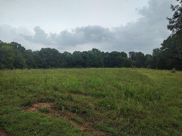 Highway 140 E, Buchanan, TN 38222