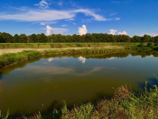 Highway 141, Paragould, AR 72450