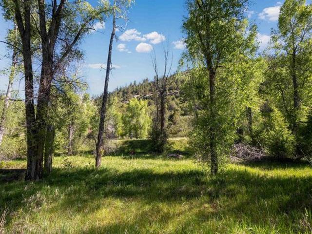 Highway 145, Dolores, CO 81323
