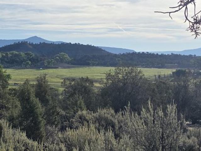 Highway 151, Ignacio, CO 81137