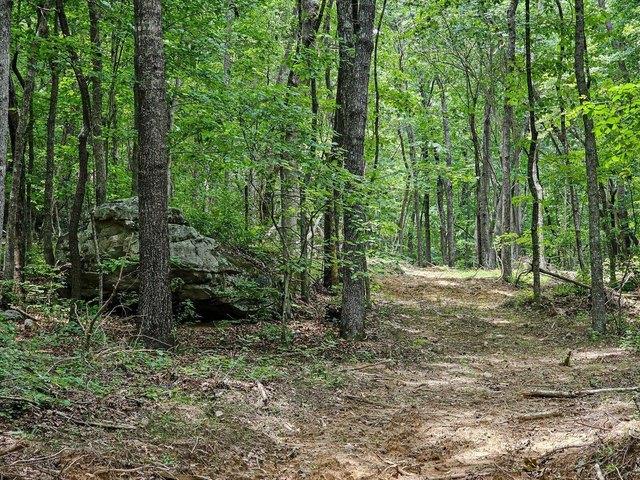 Highway 157, Menlo, GA 30731