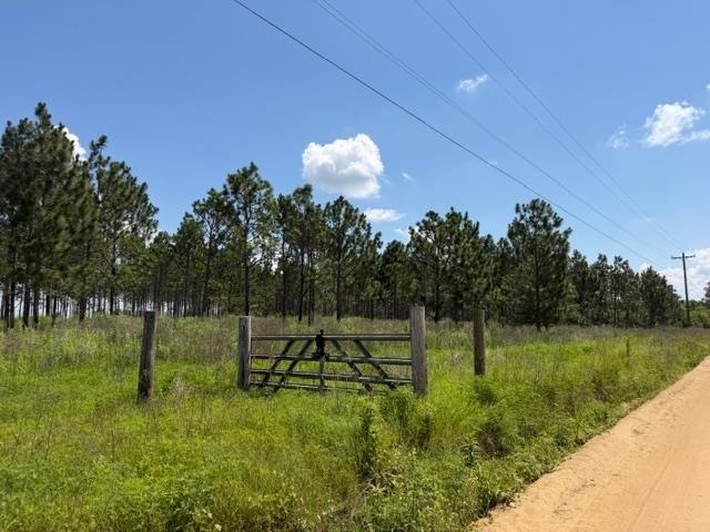 Highway 159, Ashburn, GA 31714