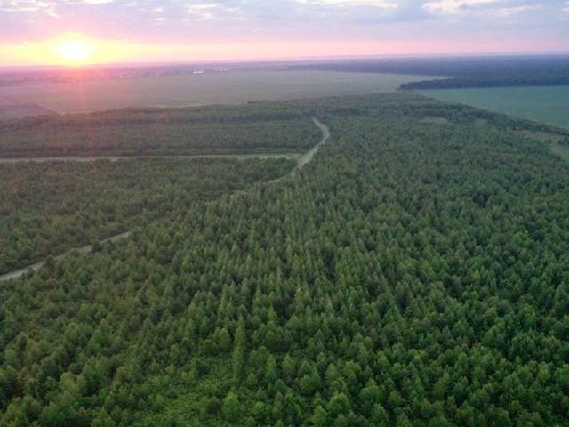 Highway 15, Vidalia, LA 71373
