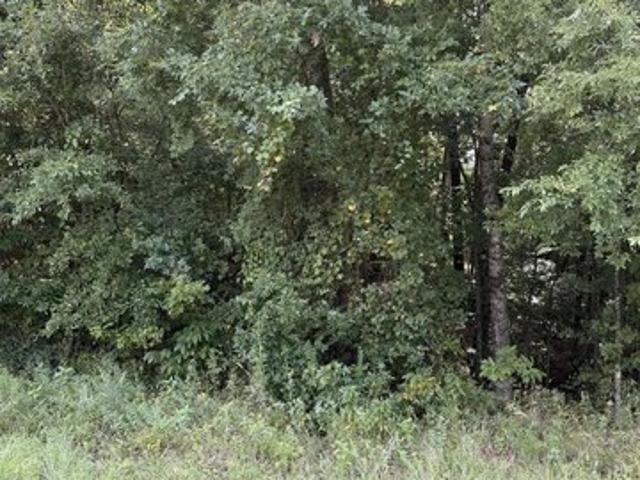 Highway 167, Hensley, AR 72065