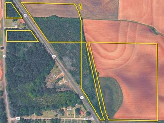 Highway 167 S Tract # 2, Clayhatchee, AL 36322