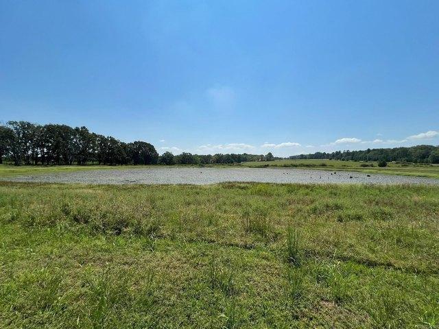 Highway 16 W, Clinton, AR 72031