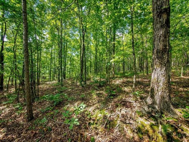 Highway 16 W, Crabtree, AR 72031