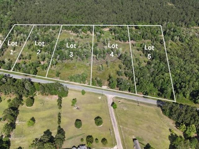 Highway 173 Rd Lot 5, Graceville, FL 32440
