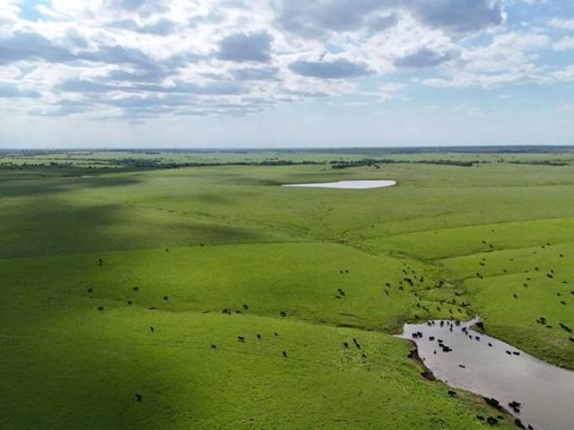 Highway 177, Matfield Green, KS 66845