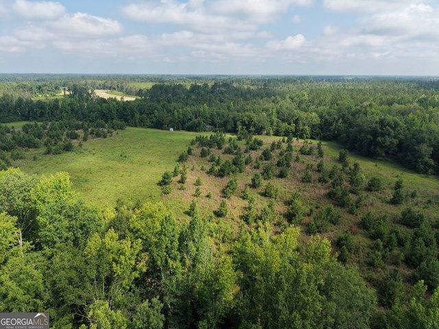 Highway 17, Midville, GA 30441