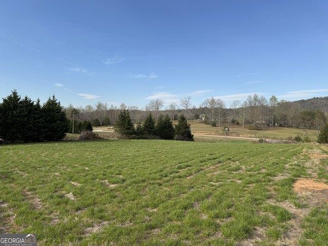 Highway 17 Tract # 2, Clarkesville, GA 30523