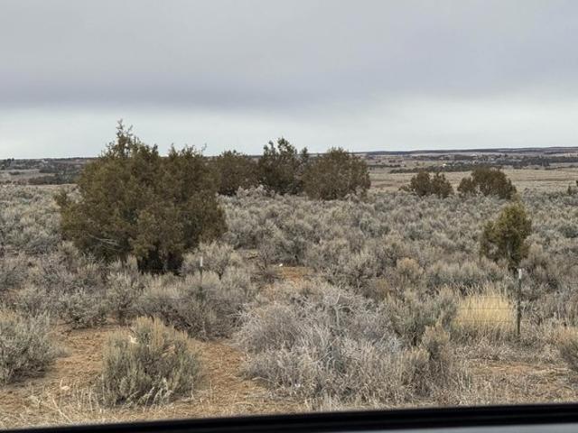 Highway 184, Lewis, CO 81327