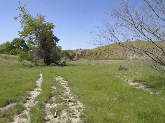 Highway 198, Coalinga, CA 93210