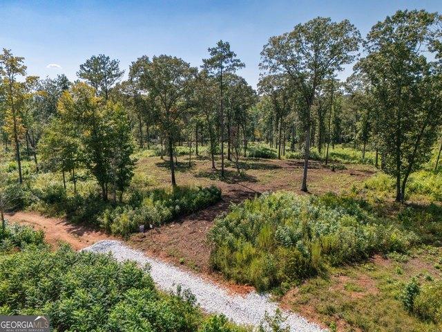 Highway 100 Tucker Way Unit 9, Franklin, GA 30217