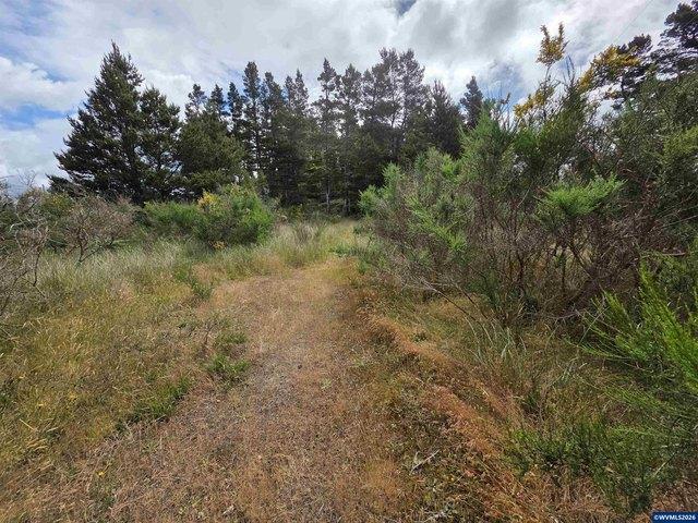 Highway 101 Lot 100, Florence, OR 97439