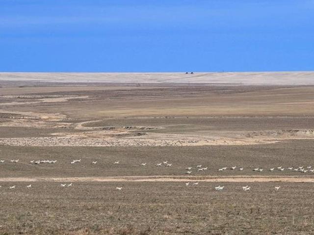 Highway 109, Genoa, CO 80818