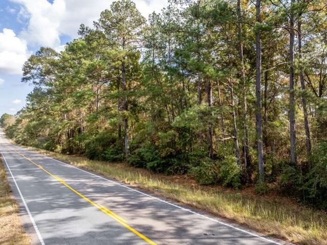 Highway 11, Moselle, MS 39459