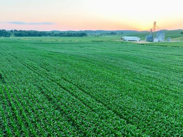 Highway 121, Osseo, WI 54758