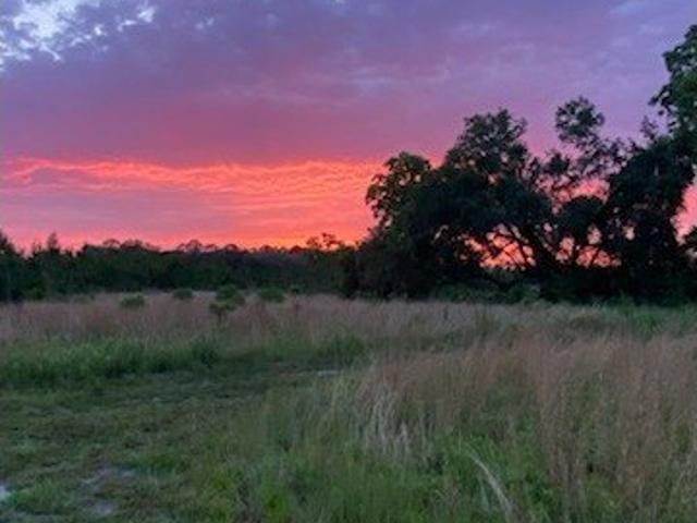 Highway 129, Live Oak, FL 32060