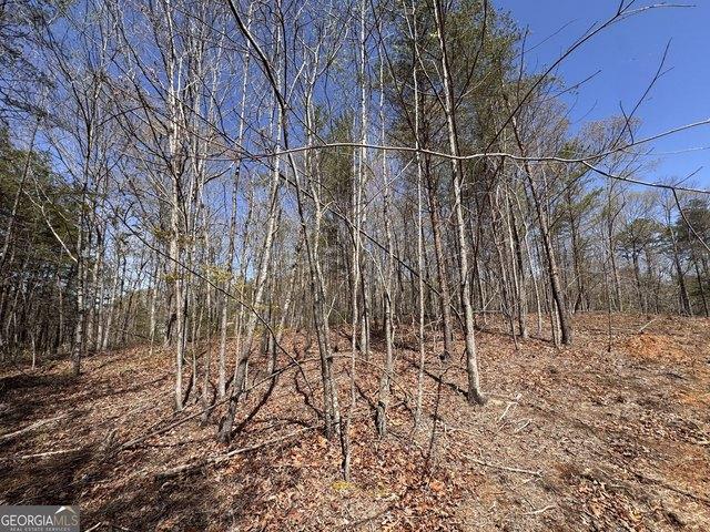 Highway 129 N, Cleveland, GA 30528