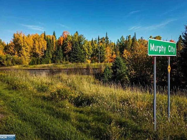 Highway 1, Murphy City, MN 55603