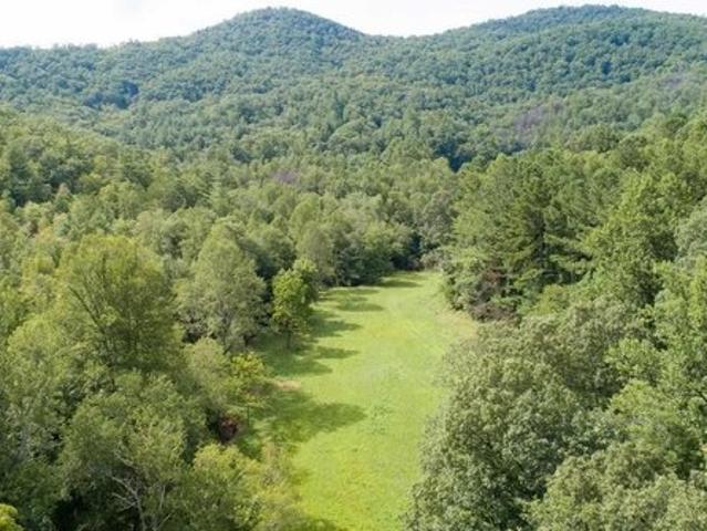 Highway 246, Dillard, GA 30537